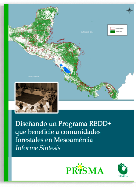 Diseñando un Programa REDD+ que beneficie a comunidades forestales en ...